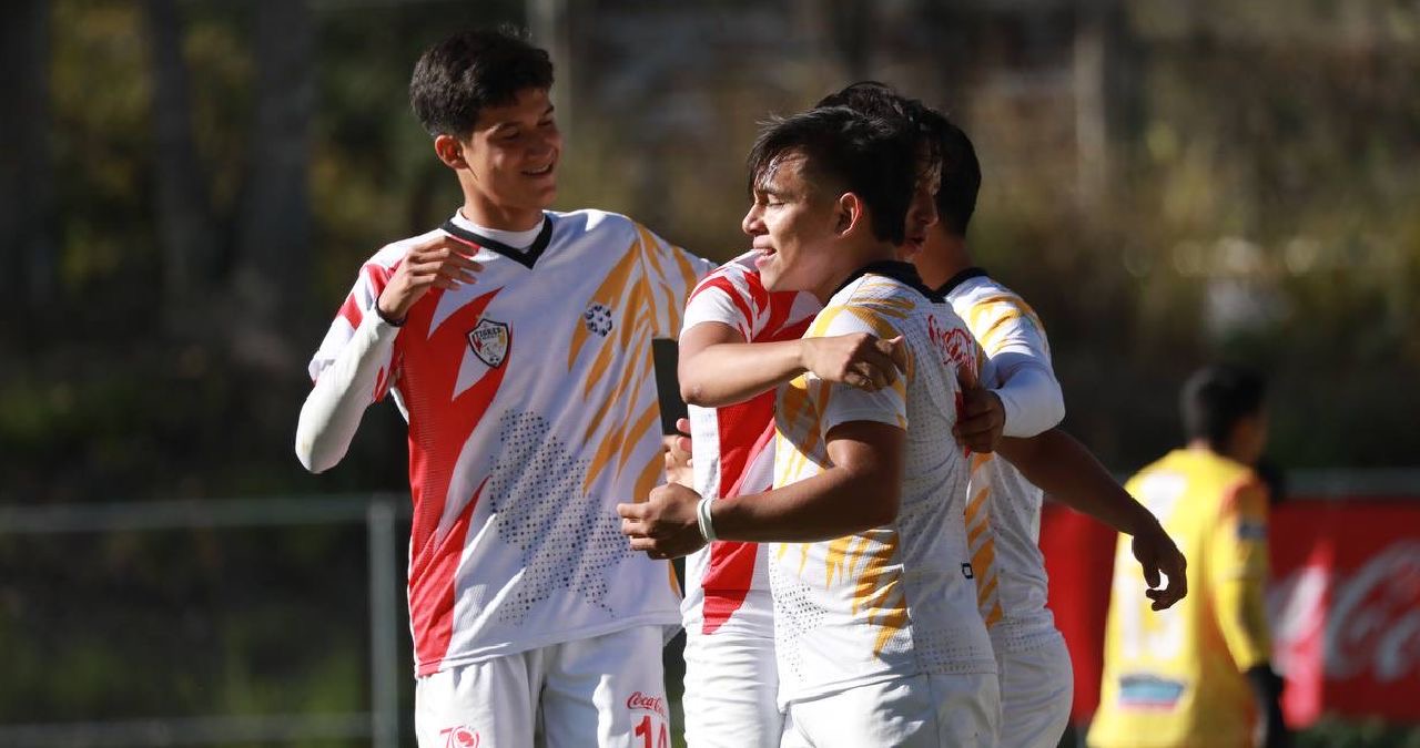 Tigres de Álica golea a los Halcones de Nayarit