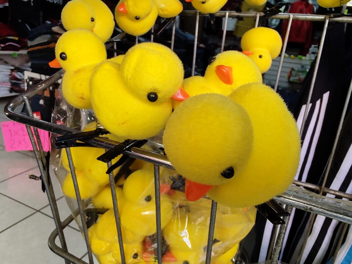 VÍDEO: Llega a Tepic la moda de los patitos en la cabeza