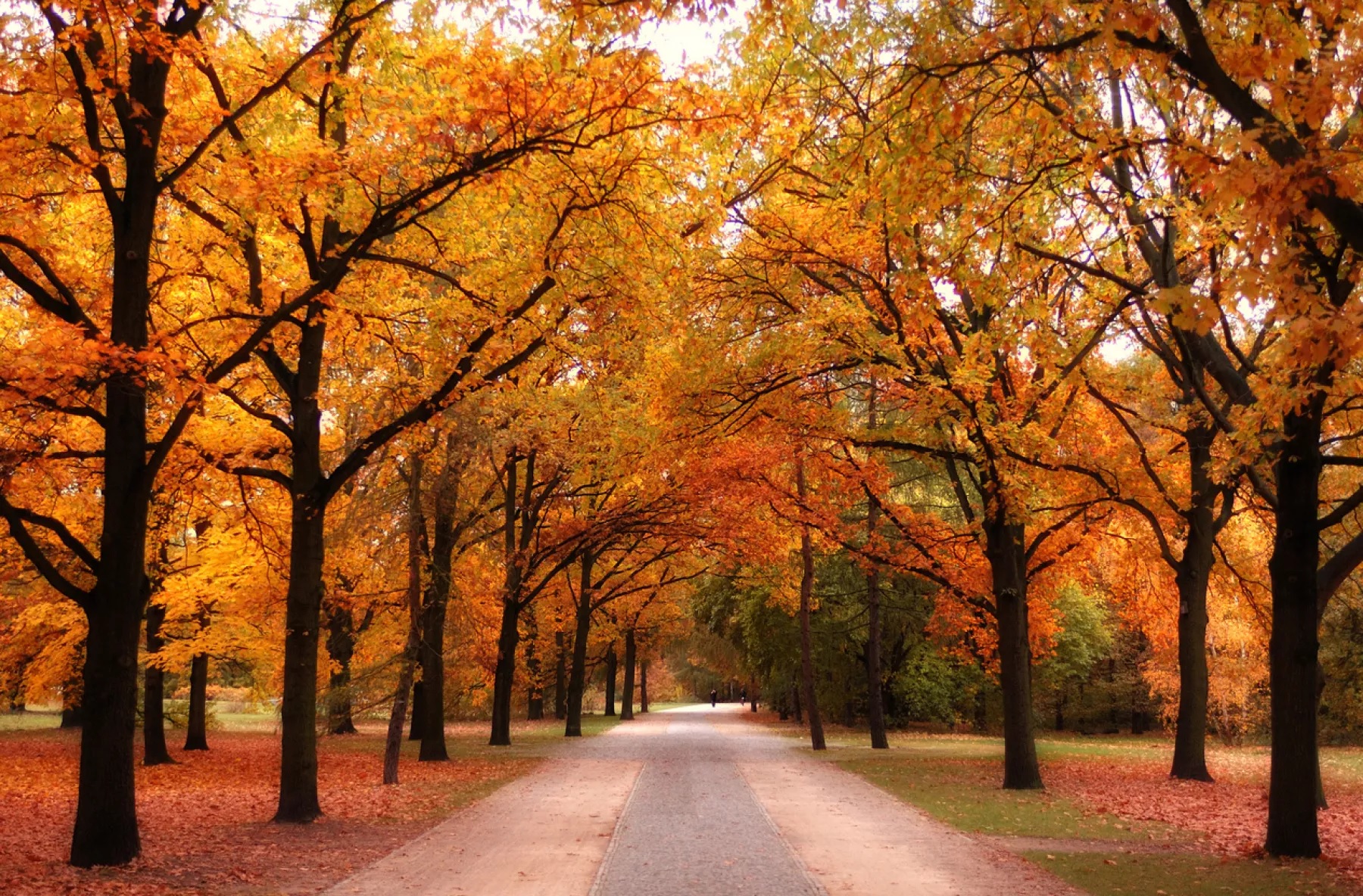 Con un México asediado por fenómenos climáticos inició el otoño y esto ...