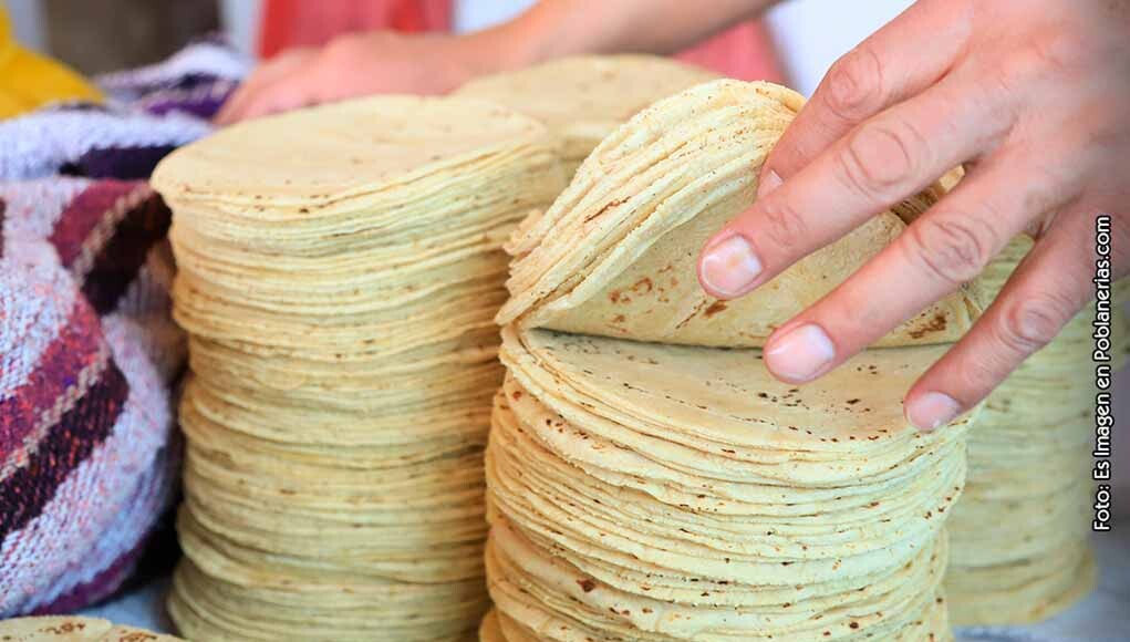 VIDEO: Analizan bajar el precio de la tortilla en México, anuncia ...