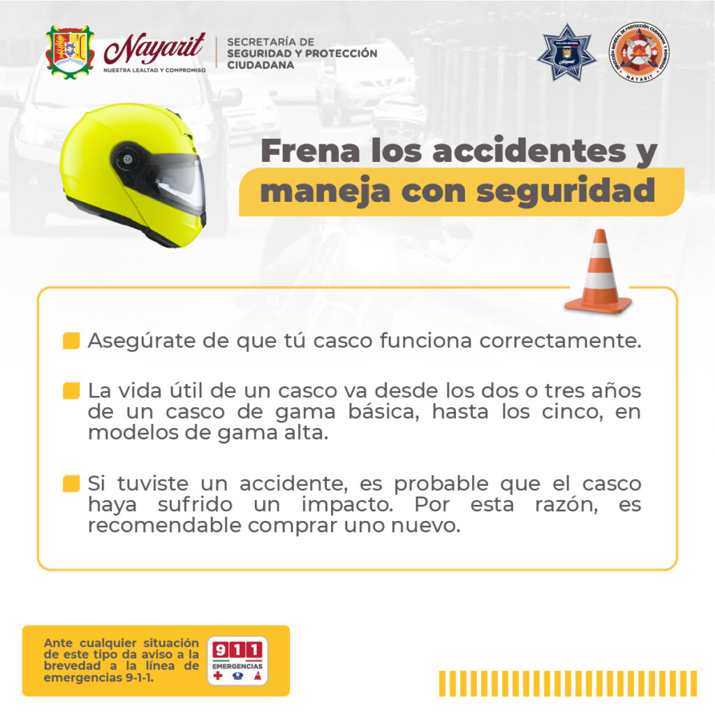 Estos son 10 increíbles animales que habitan en Nayarit